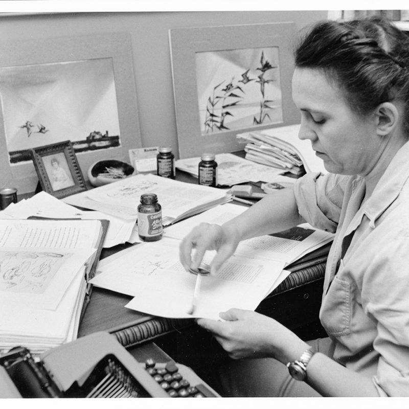 Charles W. and Elizabeth Schwartz - SHSMO Historic Missourians