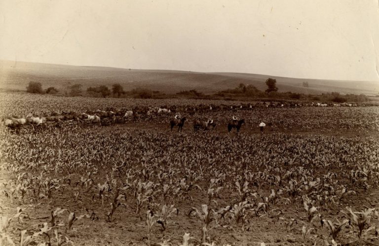 David Rankin - SHSMO Historic Missourians