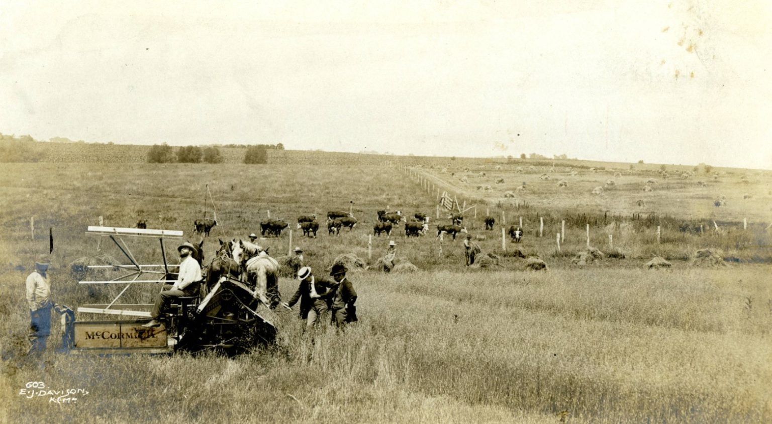 David Rankin - SHSMO Historic Missourians